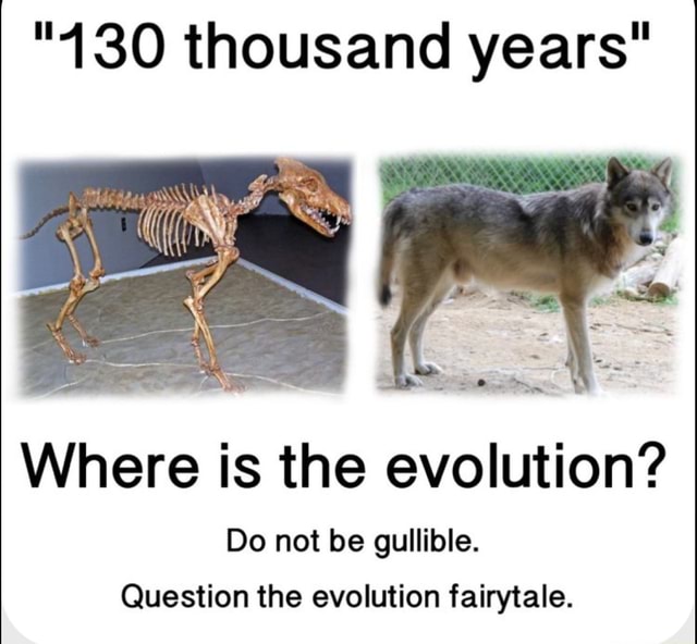 130 Thousand Years Where Is The Evolution Do Not Be Gullible 130-thousand-years-where-is-the-evolution-do-not-be-gullible