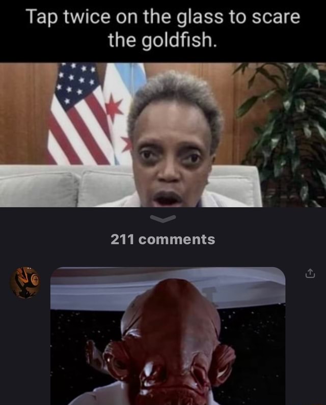 Tap twice on the glass to scare the goldfish. 211 comments I - iFunny