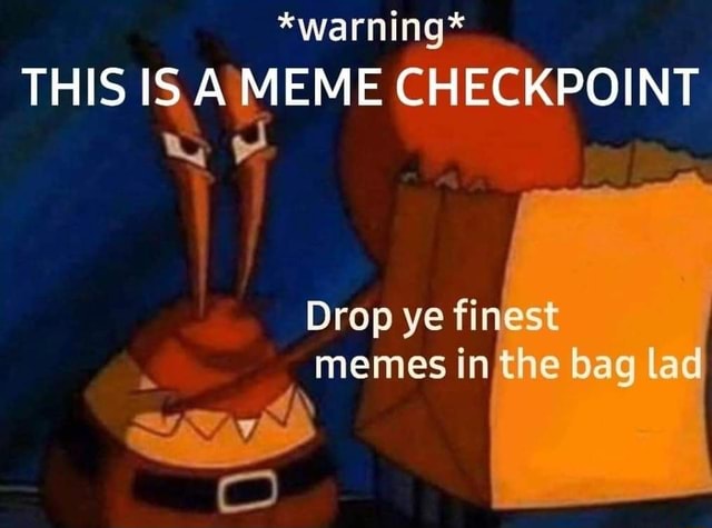 *warning* THIS IS A MEME CHECKPOINT Drop ye finest memes in the bag lad ...