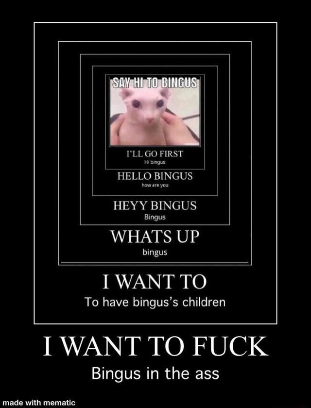 GO FIRST HELLO BINGUS how are you HEYY BINGUS Bingus WHATS UP To have ...