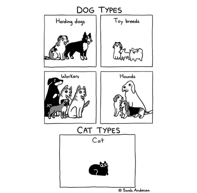 DOG TYPES CAT TYPES Cat Sarah Andersen - iFunny