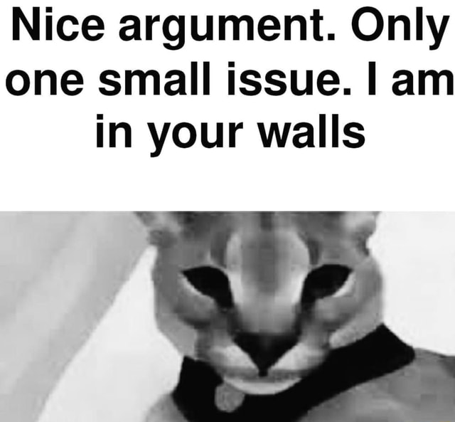 Nice argument. Only one small issue. am in your walls - iFunny
