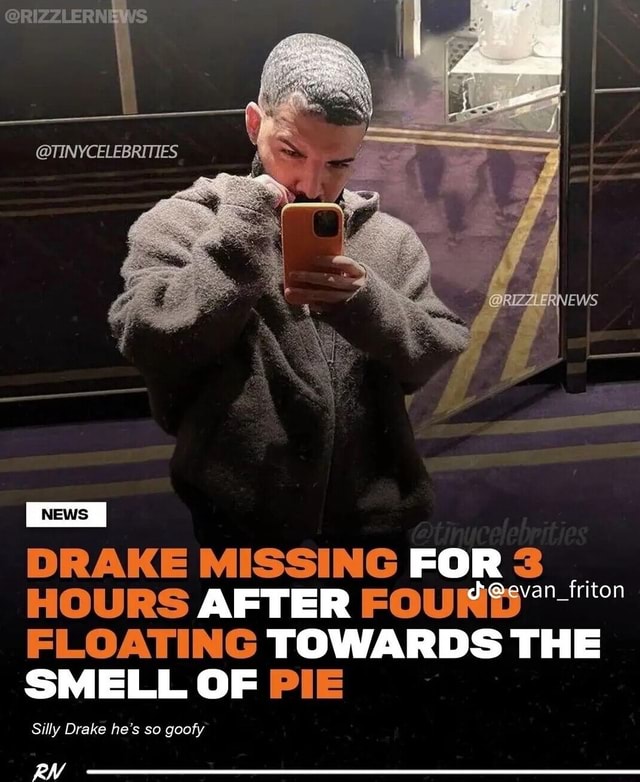 @RIZZLERN @TINYCELEBRITIES DRAKE MISSING FOR HOURS AFTER FOUND ...