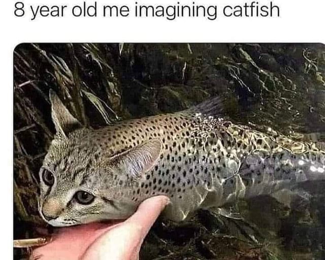 8 year old me imagining catfish - America’s best pics and videos