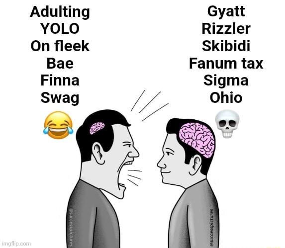 Adulting YOLO On fleek Bae Finna Swag Gyatt Rizzler Skibidi Fanum tax Sigma Ohio - iFunny