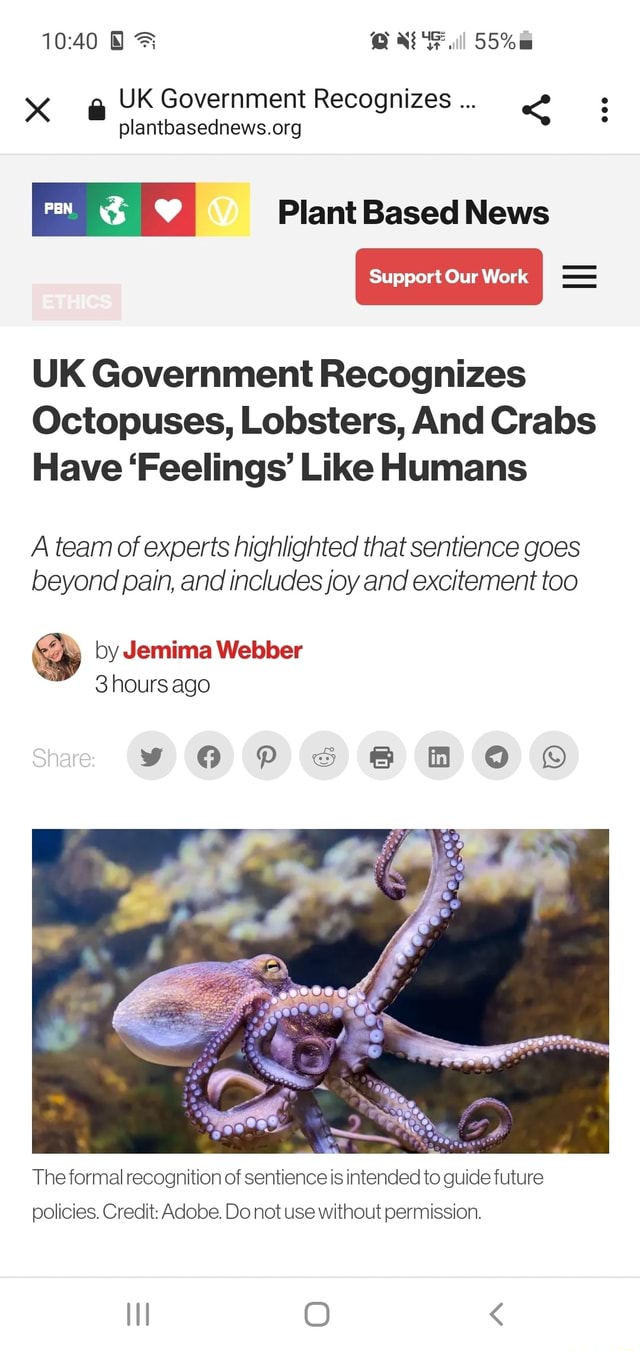 XX UK Government Recognizes