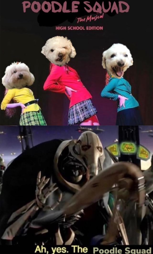 POODLE SQUAD HIGH SCHOOL EDITION Ah, yes. The Poodle Sauad - iFunny