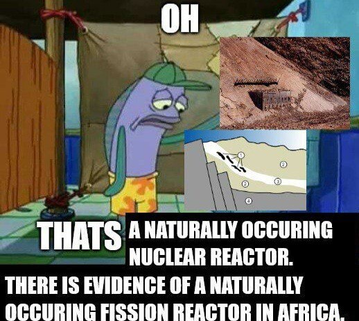 OH Al NATURALLY OCCURING NUCLEAR REACTOR. THERE IS EVIDENCE OF A ...