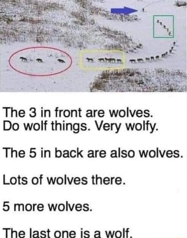 The 3 in front are wolves. Do wolf things. Very wolfy. The 5 in back ...