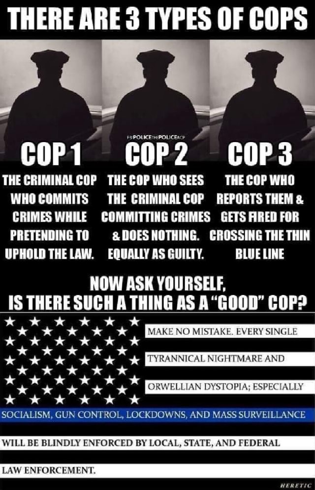 THERE ARE 3 TYPES OF COPS FSPOLICEEPOLICEACE COP1 COP2 THE CRIMINAL COP ...