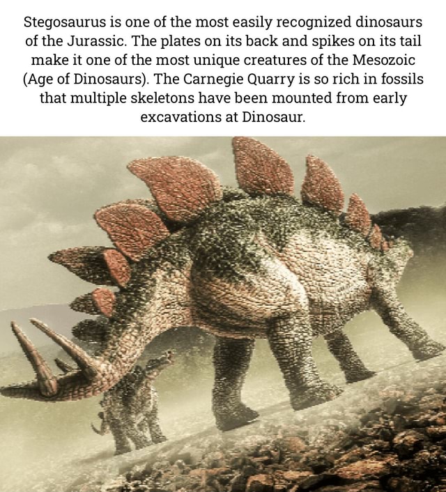 Stegosaurus is one of the most easily recognized dinosaurs of the ...