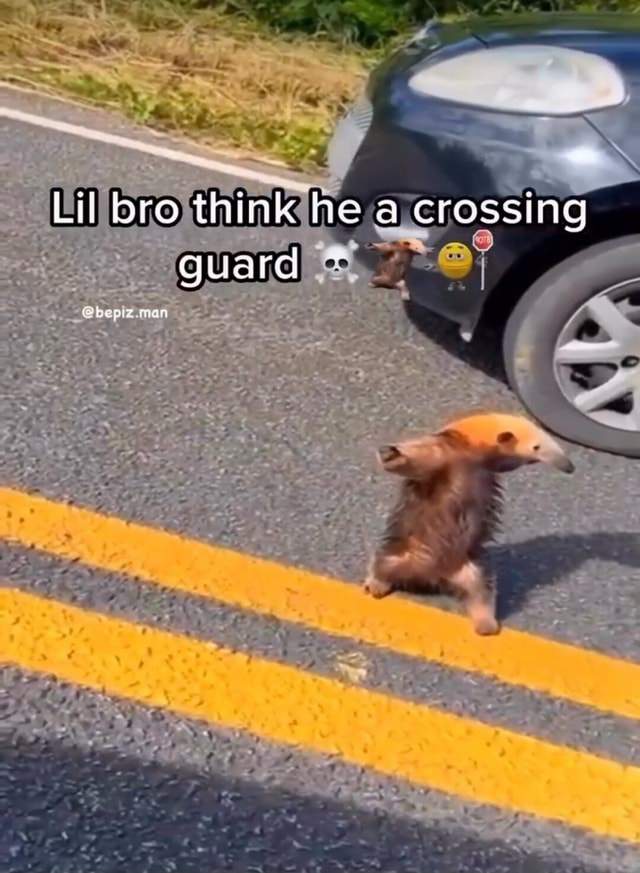 Lil bro think he a crossing quard - iFunny