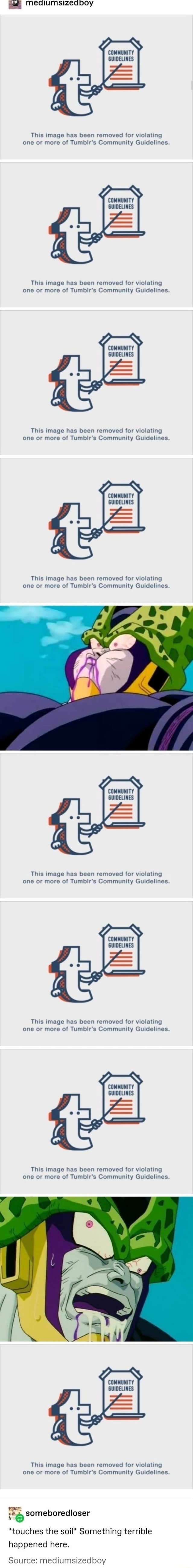 Mediumsizedboy Thus Image has been removed Vor Violating one or more of ...