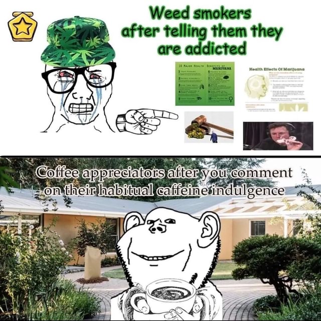 Weed smokers after telling them they are addicted - iFunny