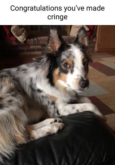 Congratulations you've made cringe - iFunny