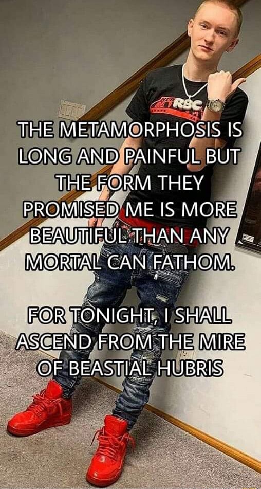 THE METAMORPHOSIS IS LONG AND PAINFUL BUT THE FORM THEY PROMISED ME IS ...