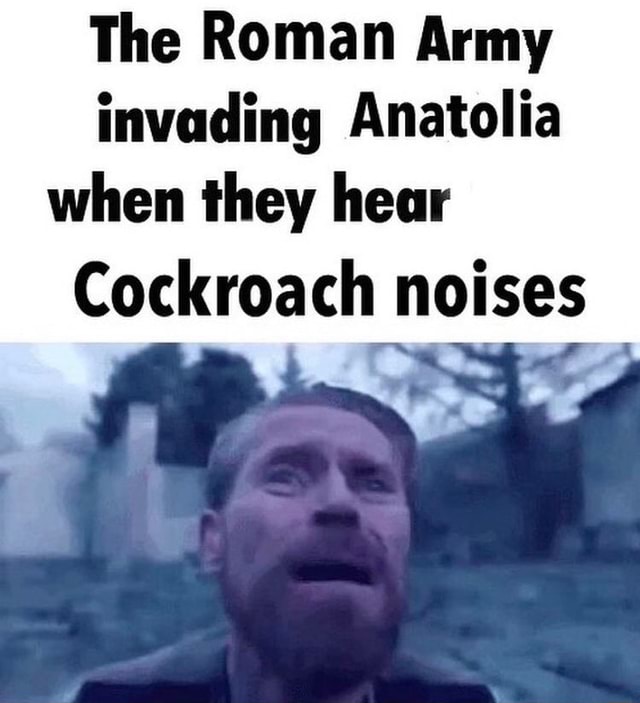 The Roman Army invading Anatolia when they hear Cockroach noises - iFunny