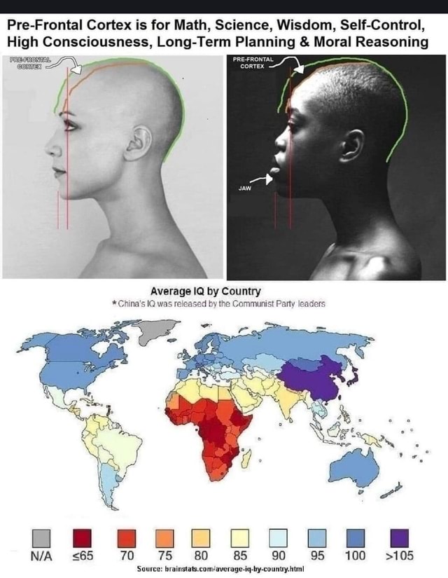 Pre-Frontal Cortex is for Math, Science, Wisdom, Self-Control, High ...