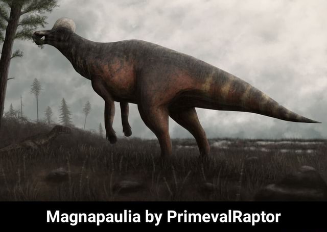 Magnapaulia by PrimevalRaptor - Magnapaulia by PrimevalRaptor - iFunny