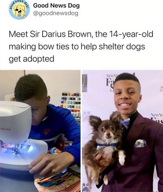 Good News Dog @goodnewsdog Meet Sir Darius Brown, the 14-year-old ...