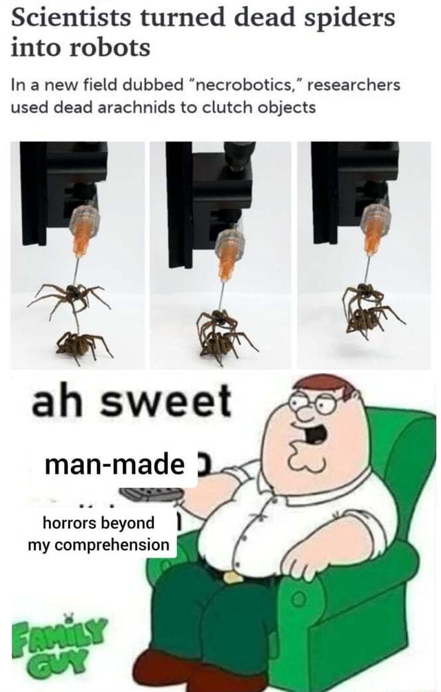 Scientists turned dead spiders into robots In a new field dubbed ...