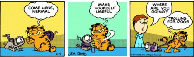 COME HERE, ARE NERMAL - iFunny