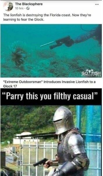 The Blacksphere The lionfish is destroying the Florida coast. Now they ...