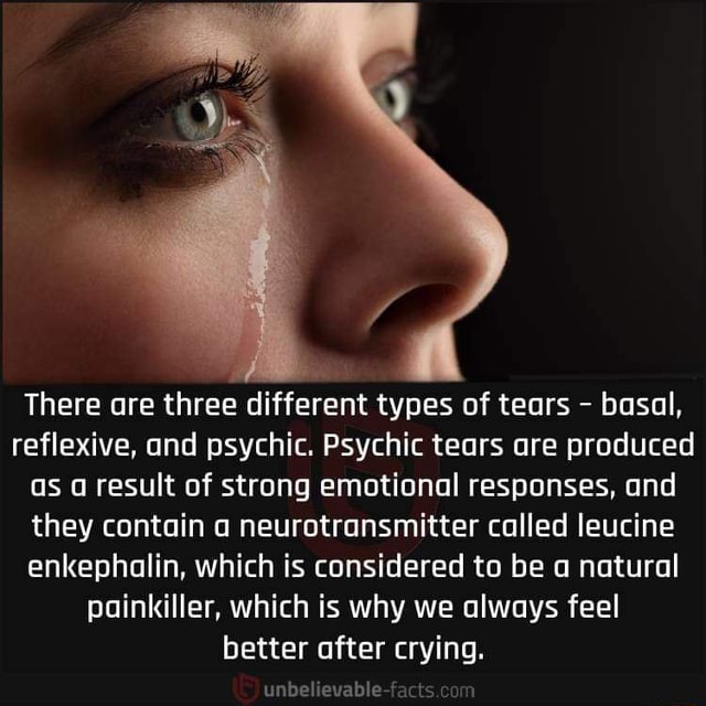 There are three different types of tears basal, reflexive, and psychic ...