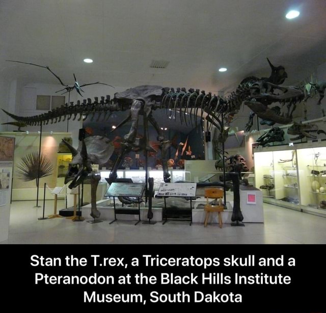 Stan the T.rex, a Triceratops skull and a Pteranodon at the Black Hills ...