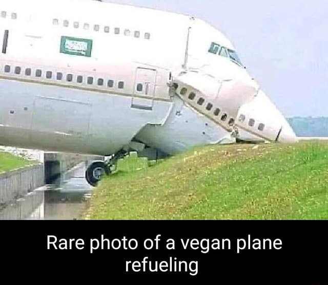 Rare photo of a vegan plane refueling - iFunny