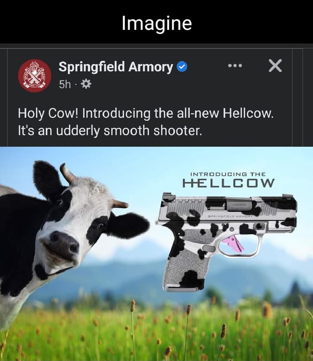 Imagine Springfield Armory @ OK Holy Cow! Introducing the all-new ...