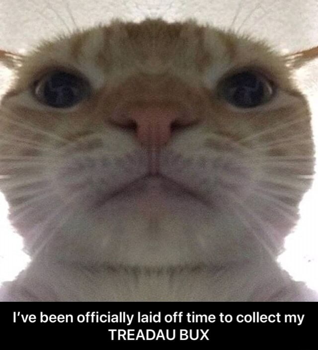 I've been officially laid off time to collect my TREADAU BUX - I’ve ...