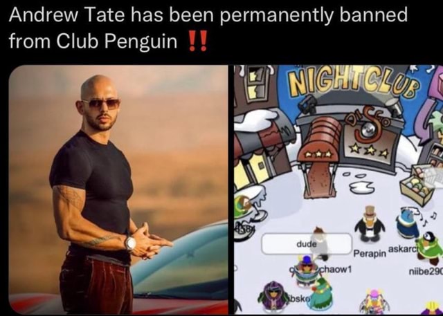 Andrew Tate has been permanently banned from Club Penguin askart ...