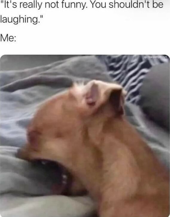 T's really not funny. You shouldnt be laughing." Mie: - iFunny