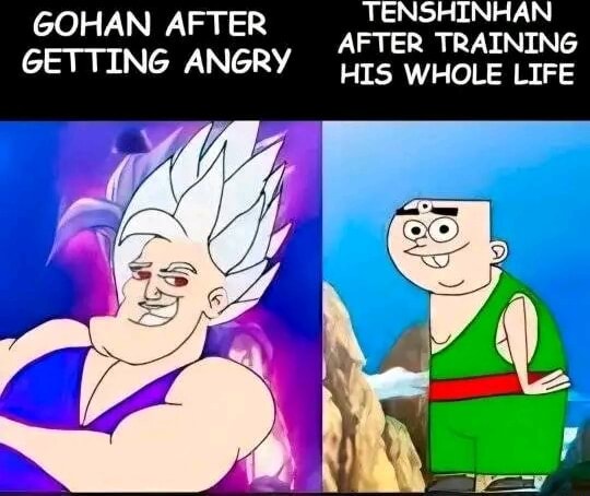 GOHAN AFTER GETTING ANGRY TENSHINHAN AFTER TRAINING HIS WHOLE LIFE - iFunny