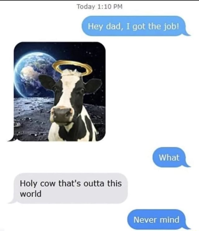 Spotted Cow Memes