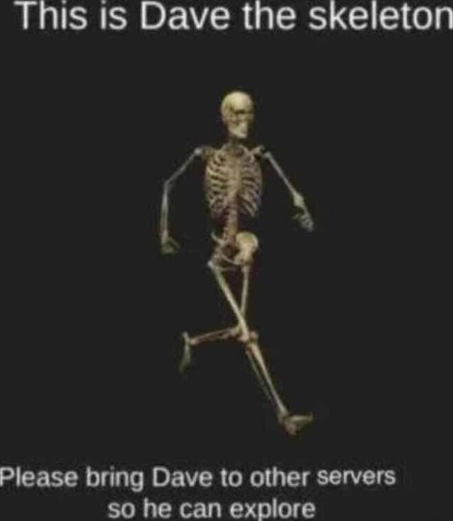 This is Dave the skeleton Please bring Dave to other servers so he can explore - iFunny