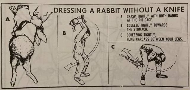 DRESSING A RABBIT WITHOUT GRASP _TIGHTLY A WITH KNIFE BOTH HANDS GRASP ...