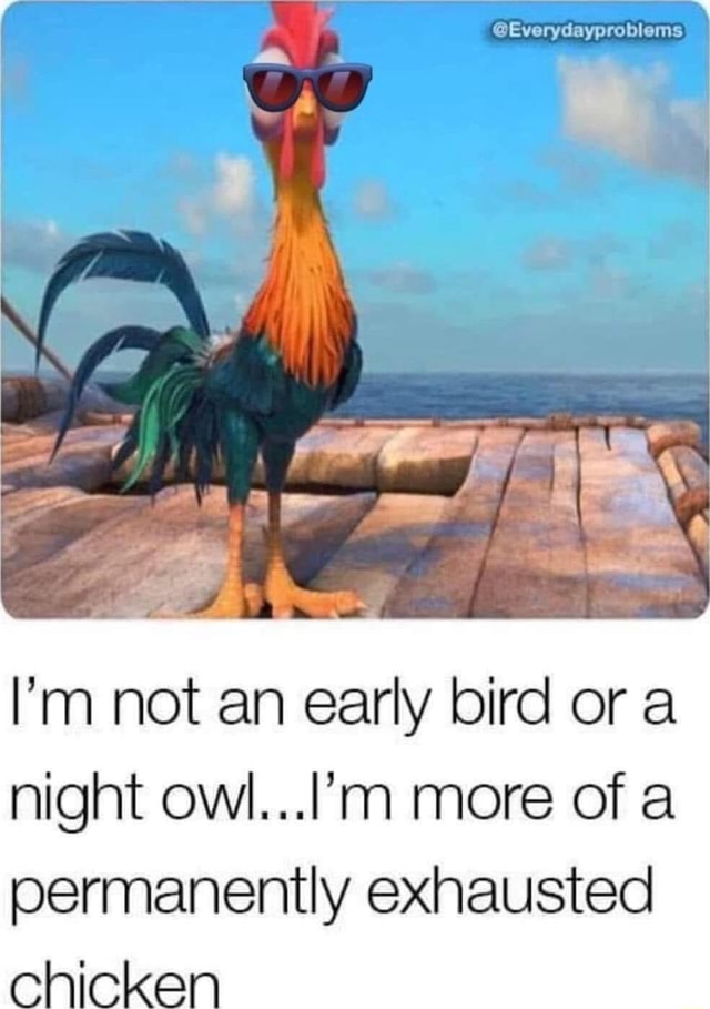 GEvarydayprabloms I I'm not an early bird or a night more of a ...