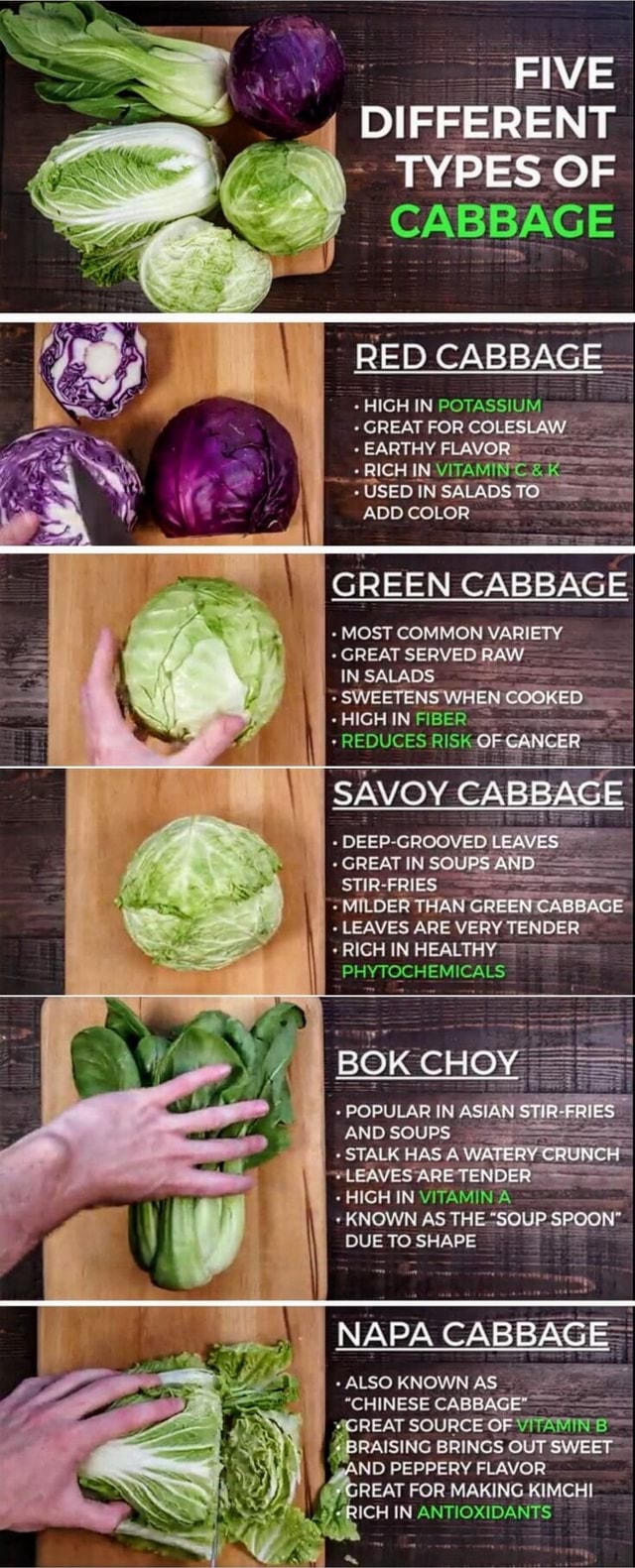 DIFFERENT - ~ TYPES OF CABBAGE RED CABBAGE HIGH IN POTASSIUM GREAT FOR ...