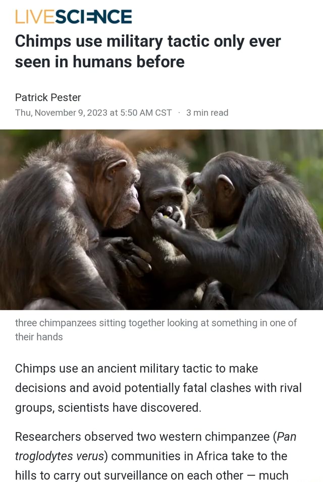 SGIENCE Chimps use military tactic only ever seen in humans before ...