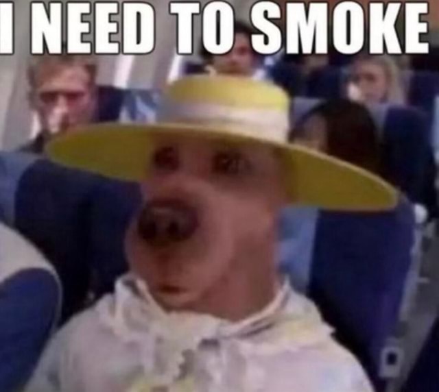NEED TO SMOKE oh I - iFunny