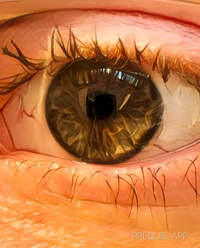 PREQUEL APP - iFunny