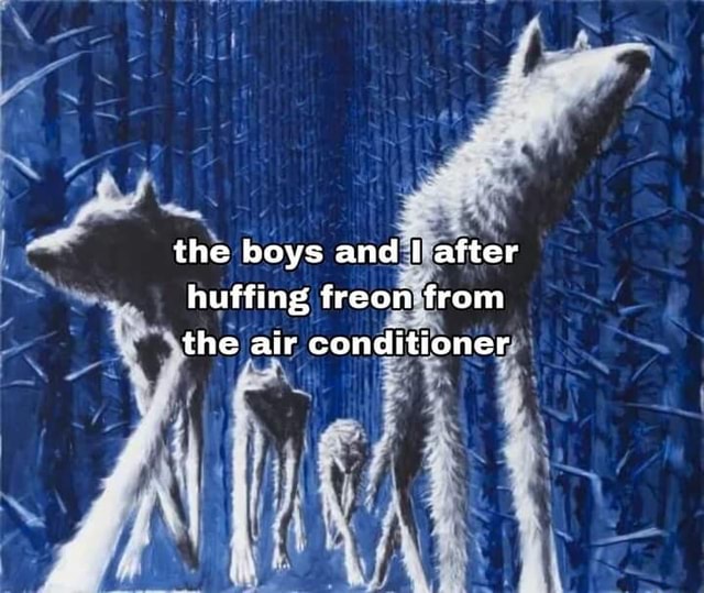 The boys and after huffing freon from the air conditioner SS - iFunny