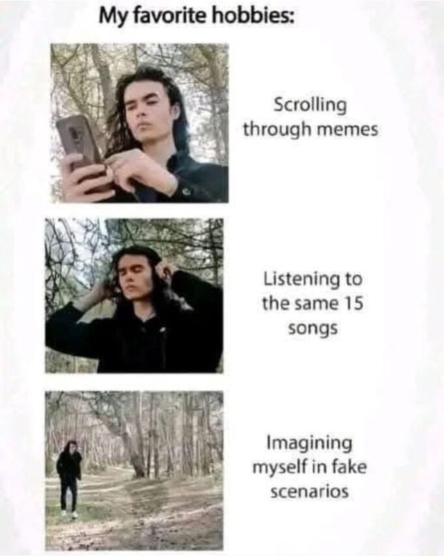 My favorite hobbies: Scrolling through memes Listening to the same 15 ...