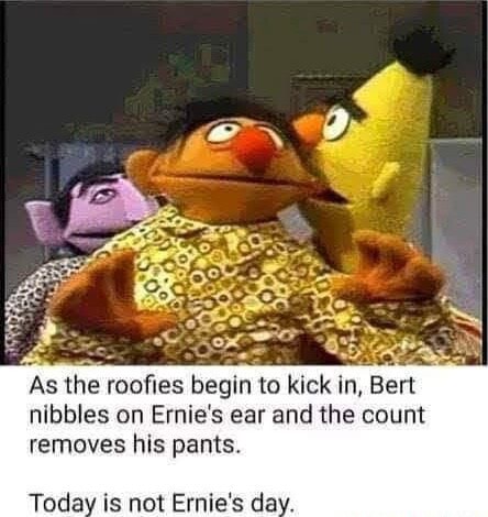 As the roofies begin to kick in, Bert nibbles on Ernie's ear and the ...