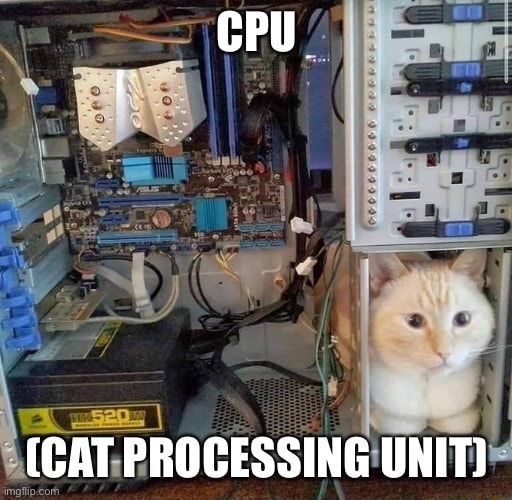 CPU (CAT PROCESSING UNIT) - iFunny