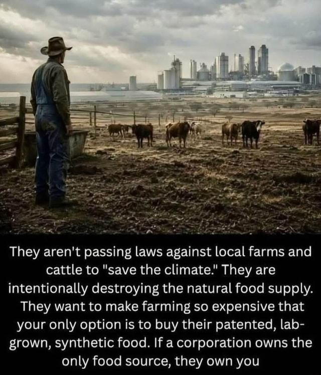 % ot They aren't passing laws against local farms and cattle to "save ...