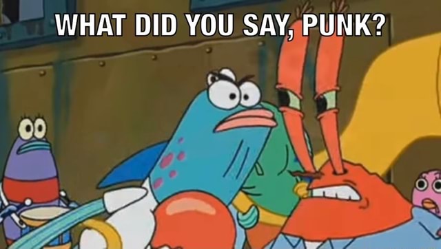 WHAT DID YOU SAY, PUNK? - iFunny