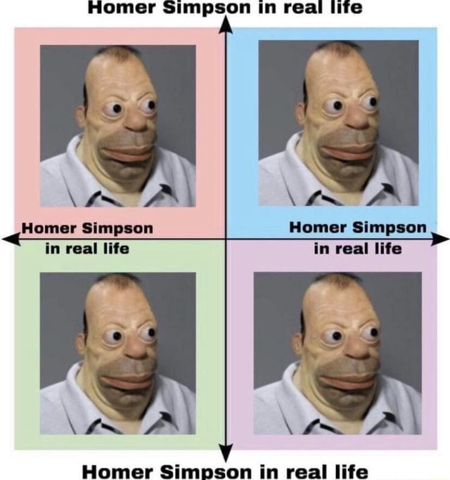 Homer Simpson in real life Homer Simpson in real life - iFunny